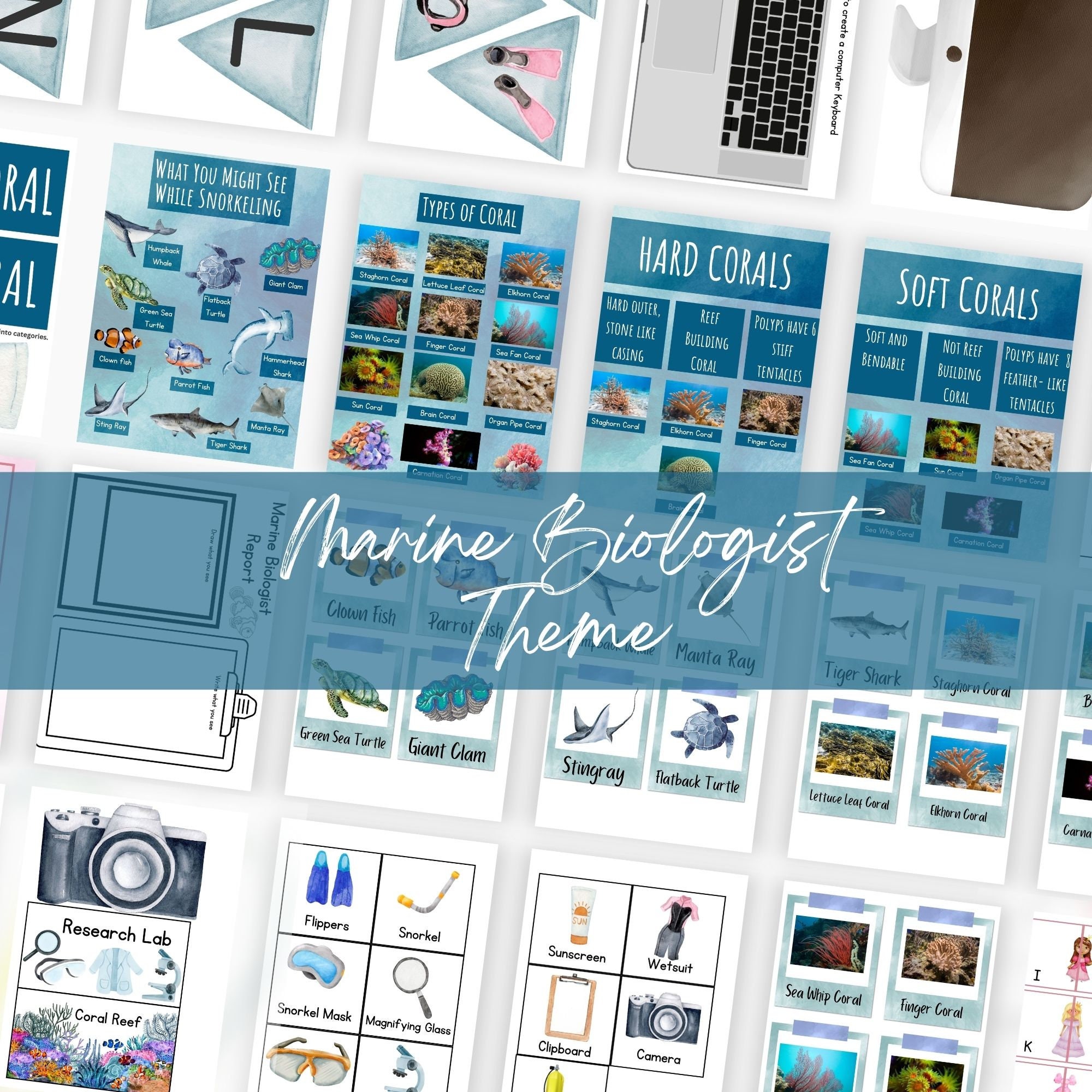 Marine Biologist/ Coral Reef Dramatic Play Center, Preschool Pretend ...