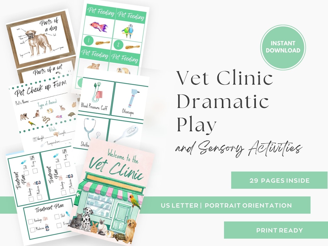 Vet Clinic/animal Hospital Dramatic Play Center and Sensory Bin ...