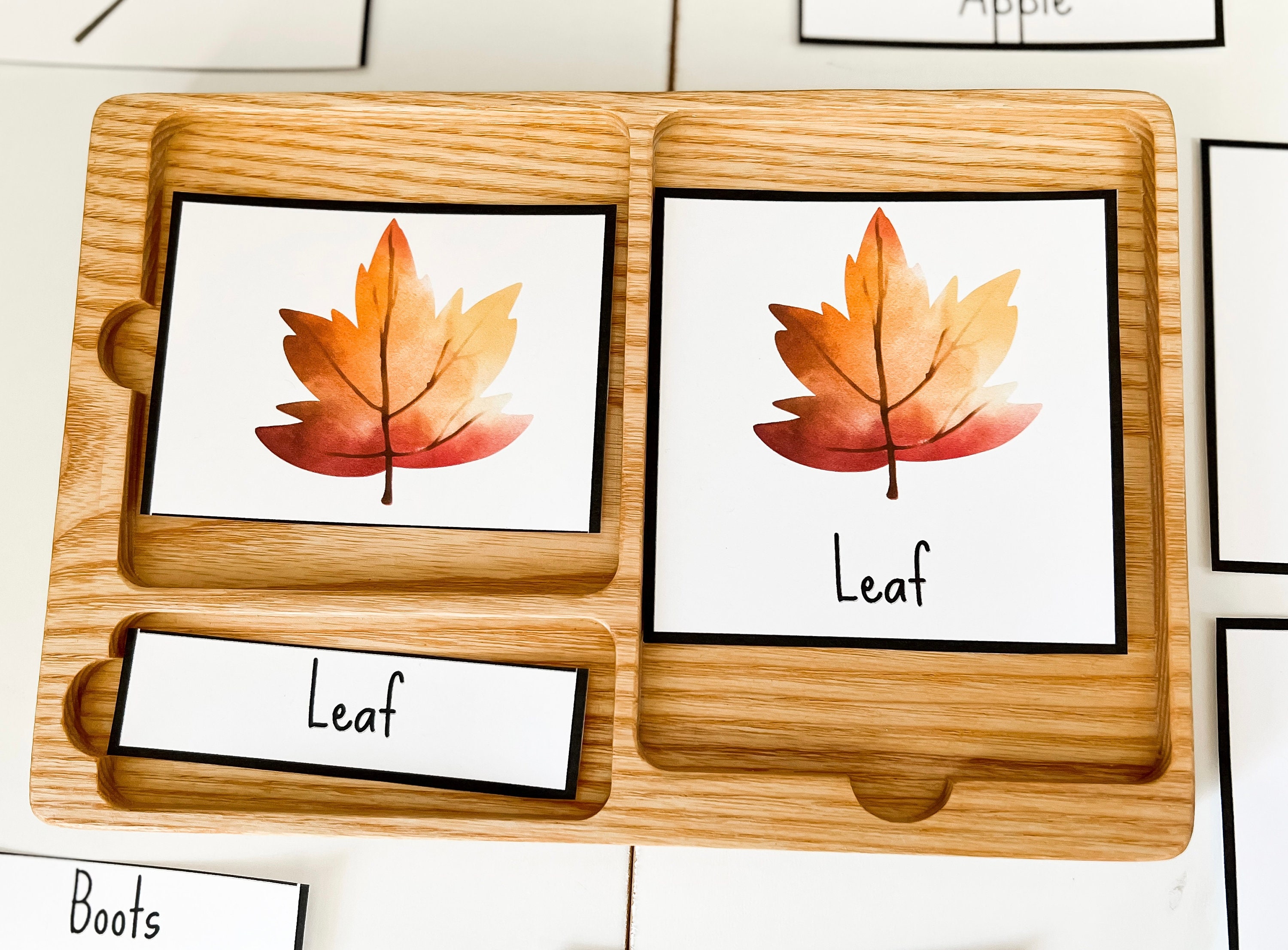 Fall/autumn Theme Sensory Bin Activities, 3 Part Cards, Seek and Find ...