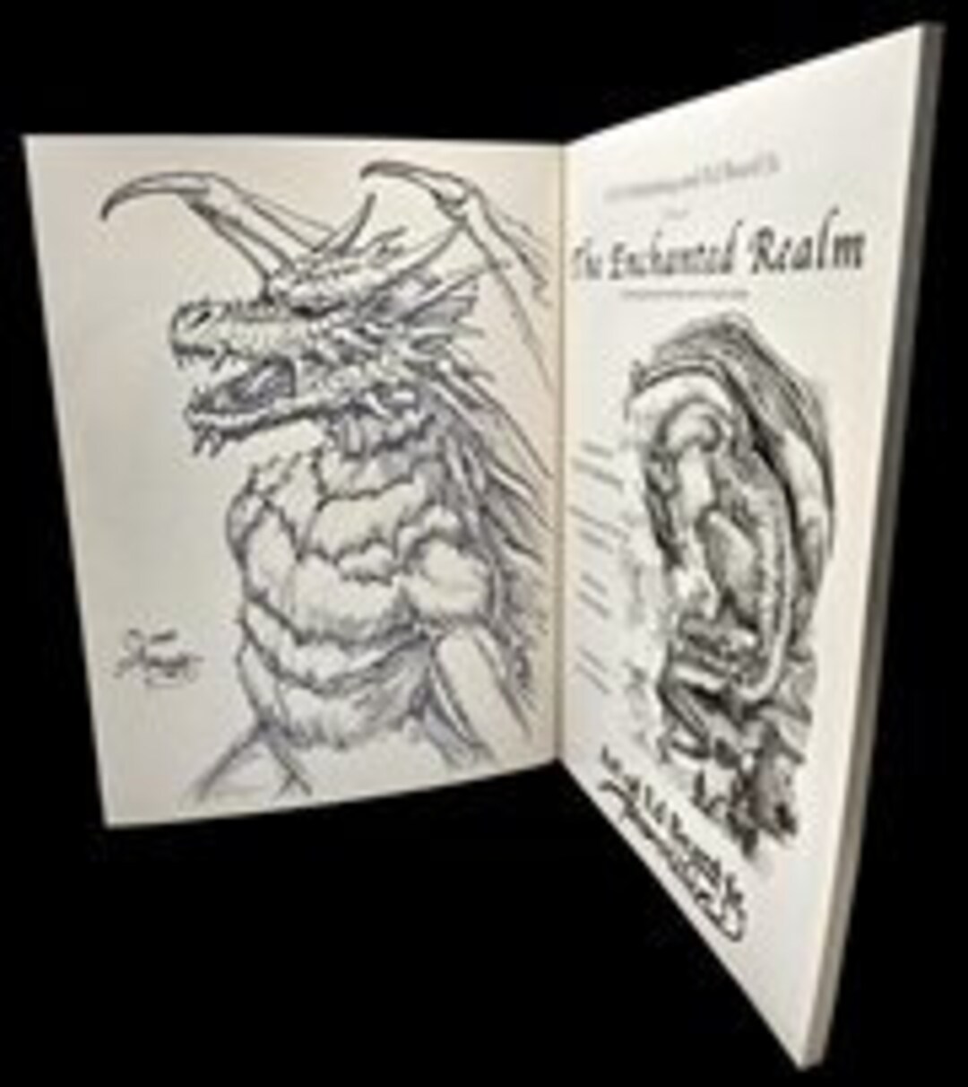 The Enchanted Realm Art of Ed Beard Jr. SIGNED W/ Original - Etsy