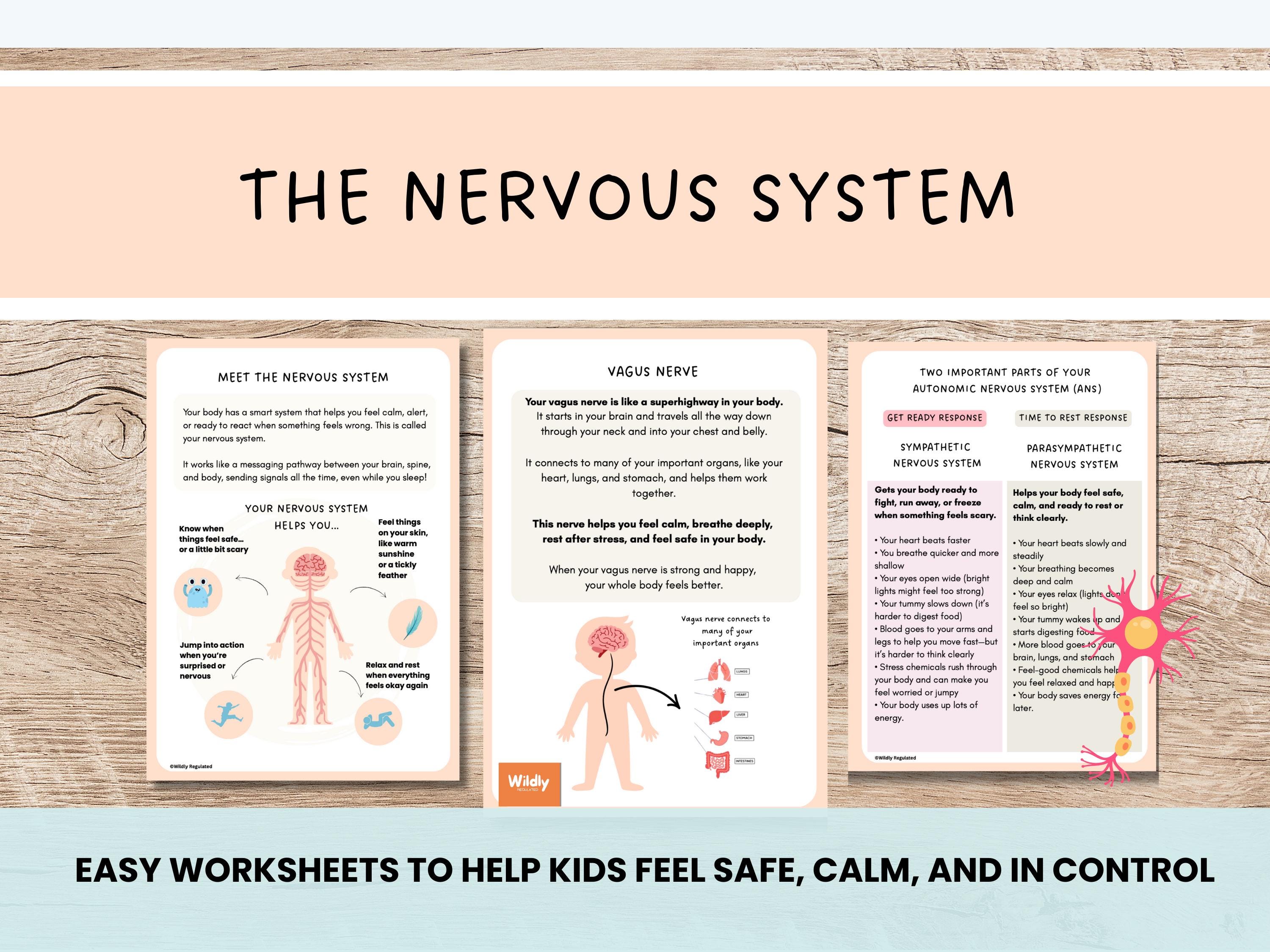 Kids Nervous System Workbook: Polyvagal Theory, Emotional Regulation ...