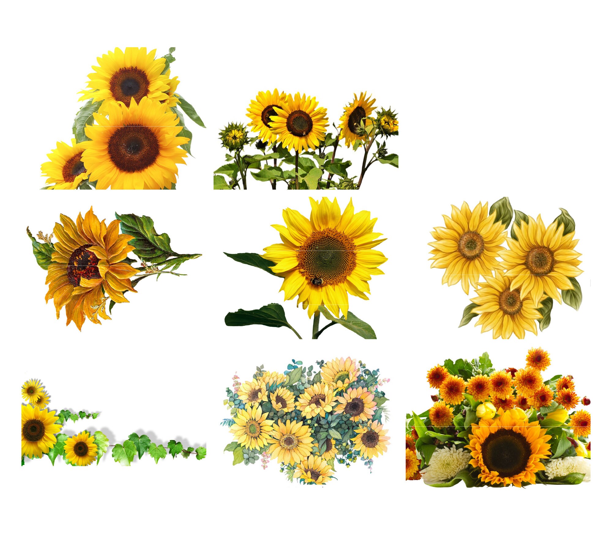 35 Sunflower Clipart Colorful Sunflower Clipart Sunflower - Etsy