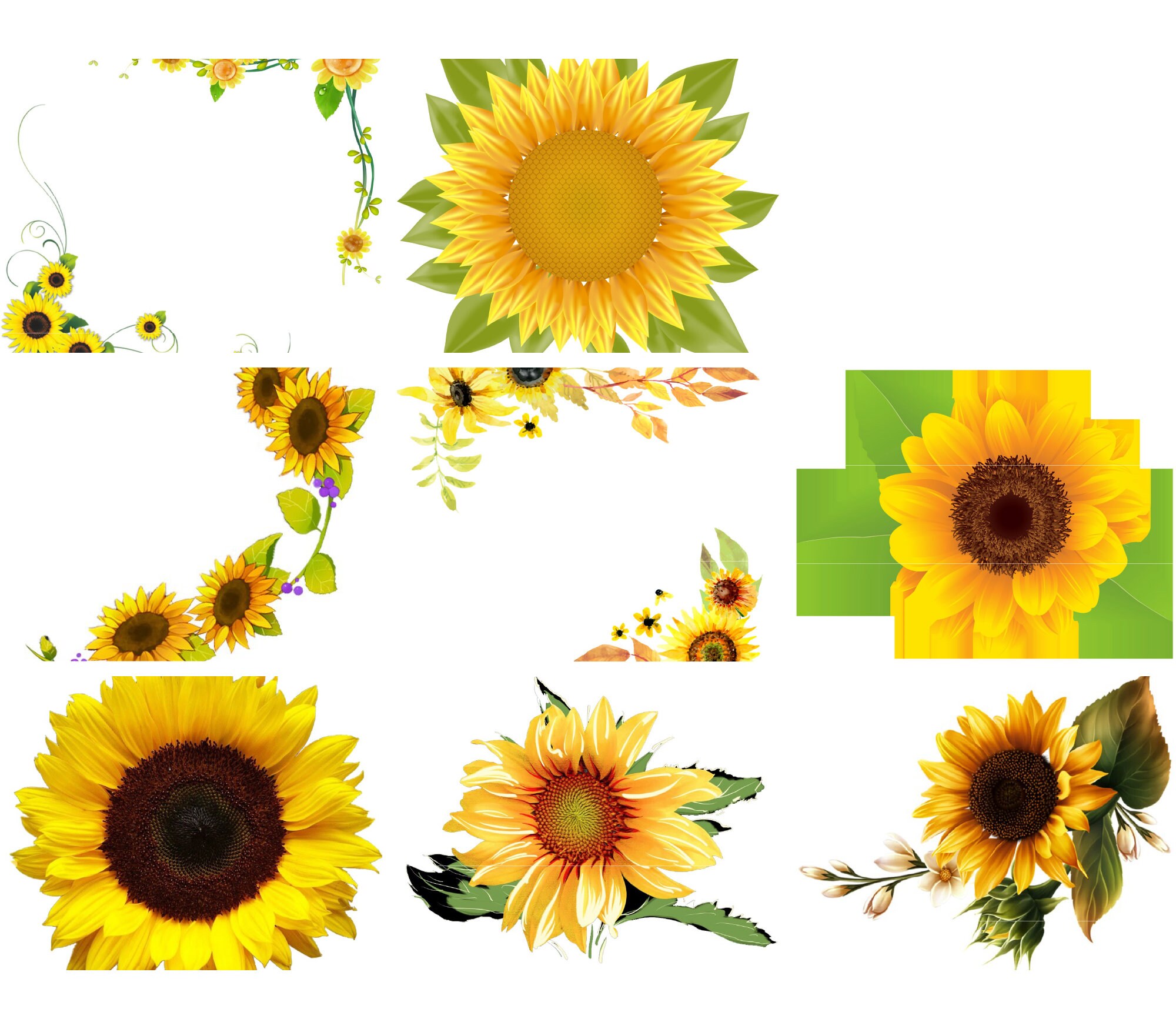 35 Sunflower Clipart Colorful Sunflower Clipart Sunflower - Etsy