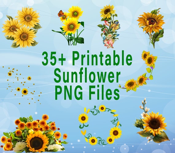 35 Sunflower Clipart Colorful Sunflower Clipart Sunflower - Etsy