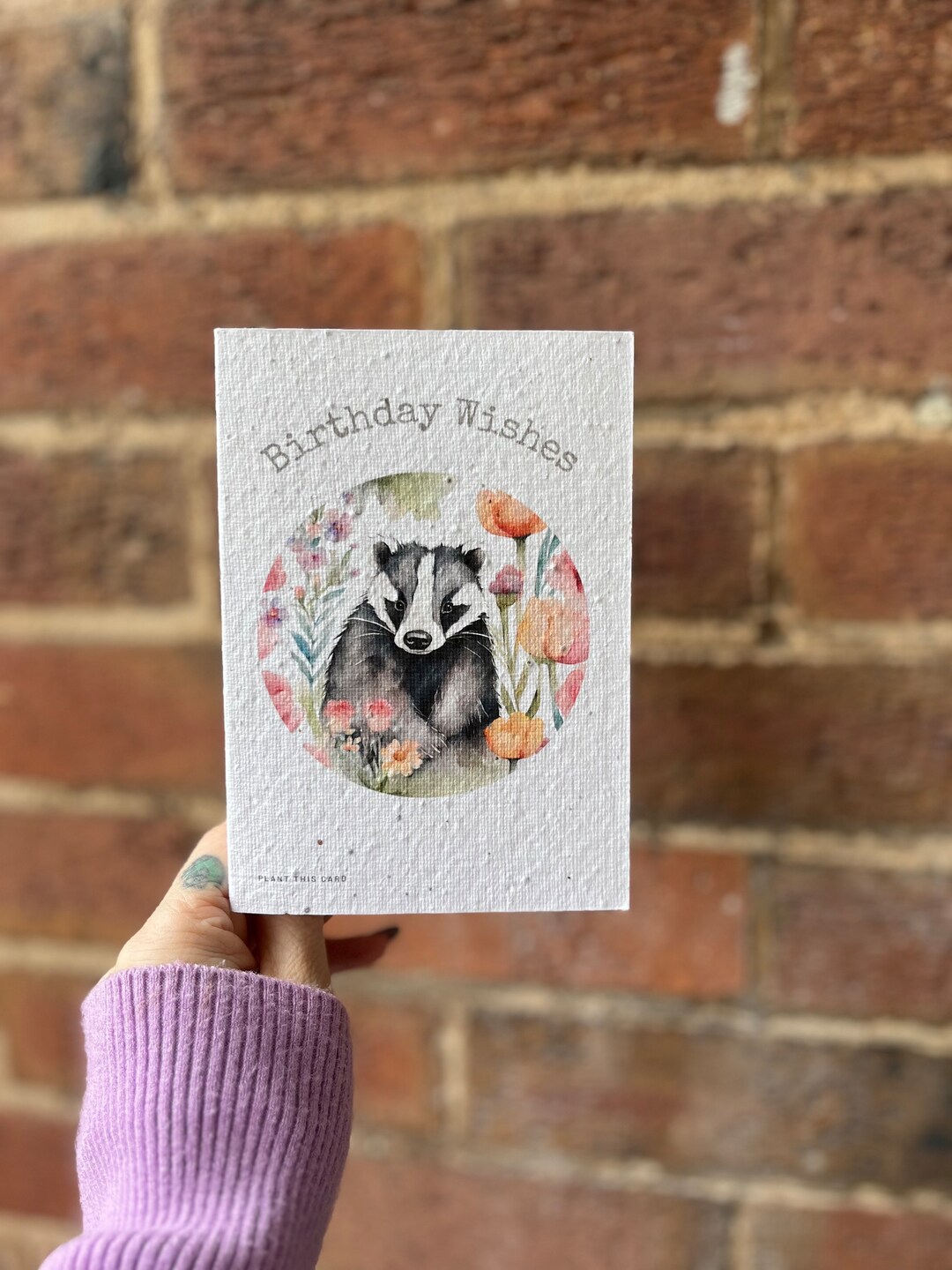Badger Birthday Card, Plantable Card, Sweet Card for Friend, Nature ...