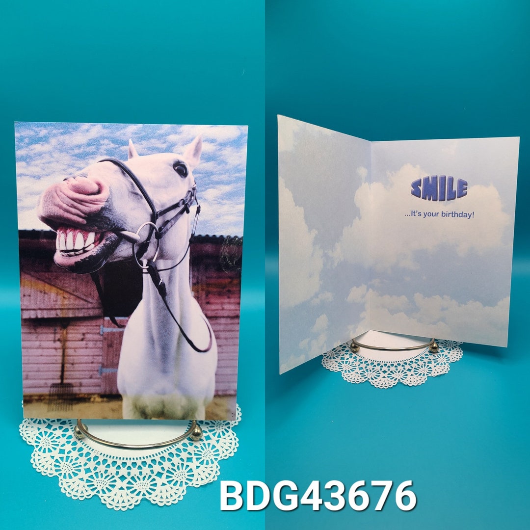 Leanin' Tree Birthday Cards - Etsy