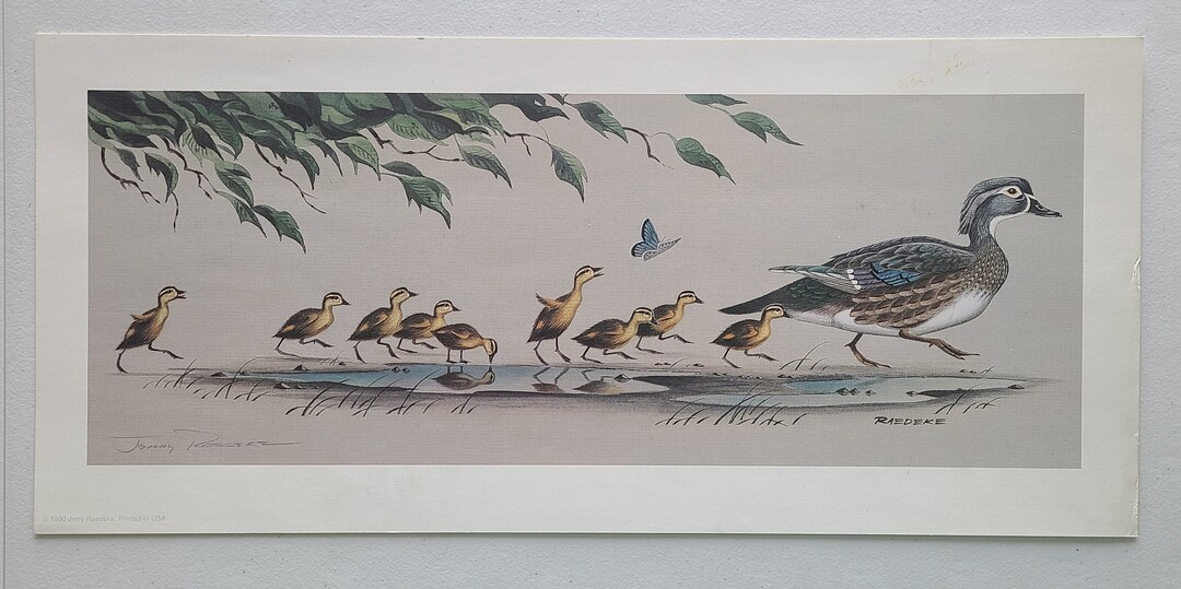 Jerry Raedeke Print - Etsy