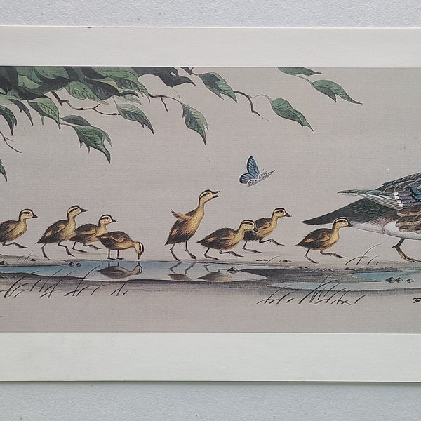 Jerry Raedeke Art - Etsy