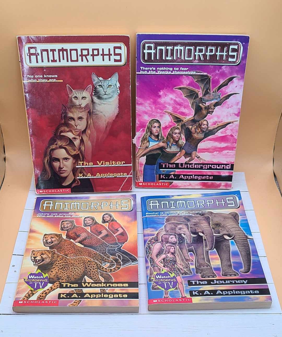 Set of 4 Animorphs Books - Etsy