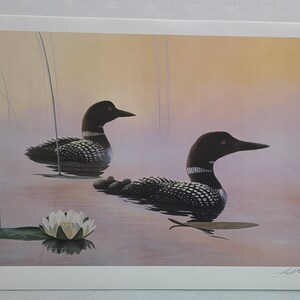 Set of 4 Leo Stans Wildlife Heritage Collection Prints. - Etsy