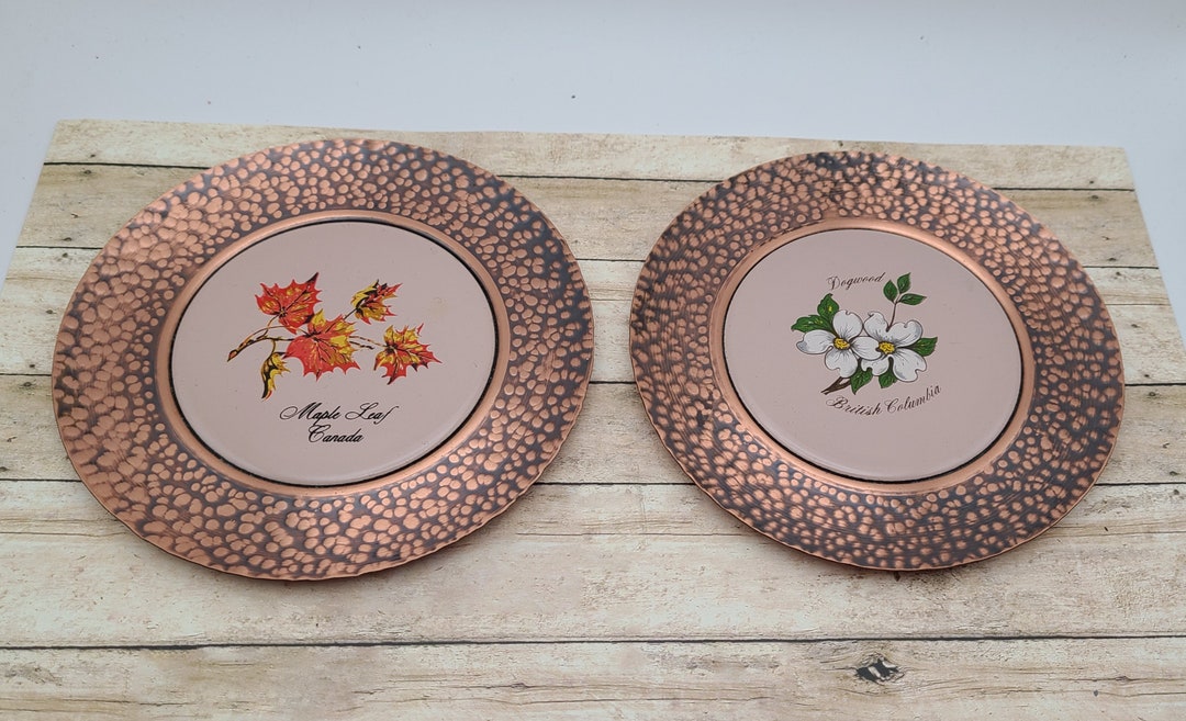 Vintage Fantasy Copperware Plates - Etsy