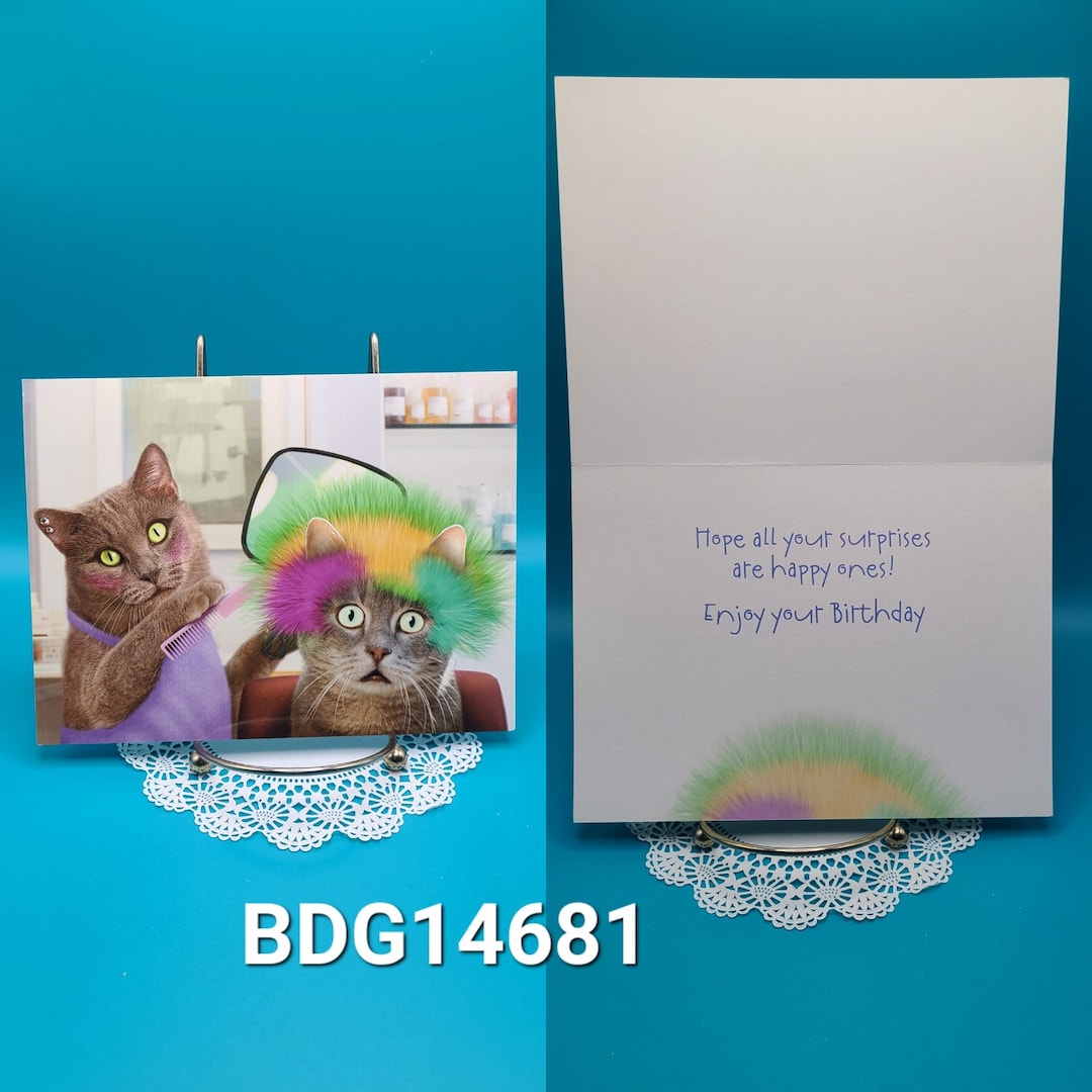 Leanin' Tree Birthday Cards - Etsy