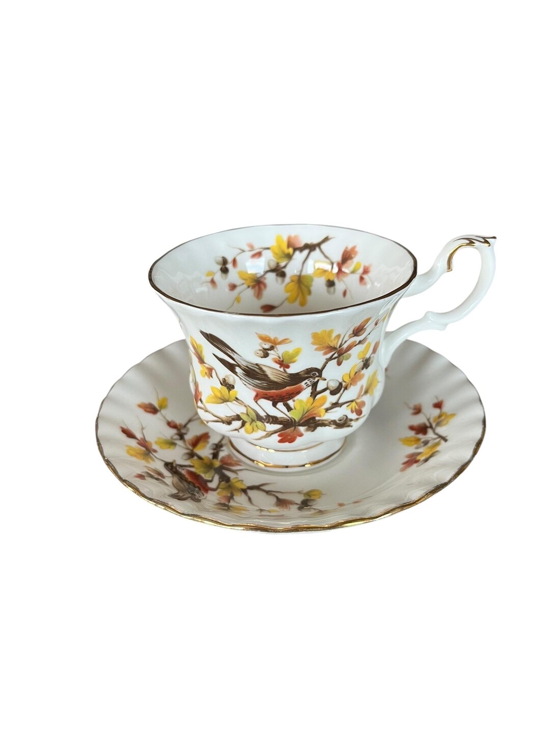 Royal Albert Robin Bird Tea Cup and Saucer: Woodland Series Robin Bone ...