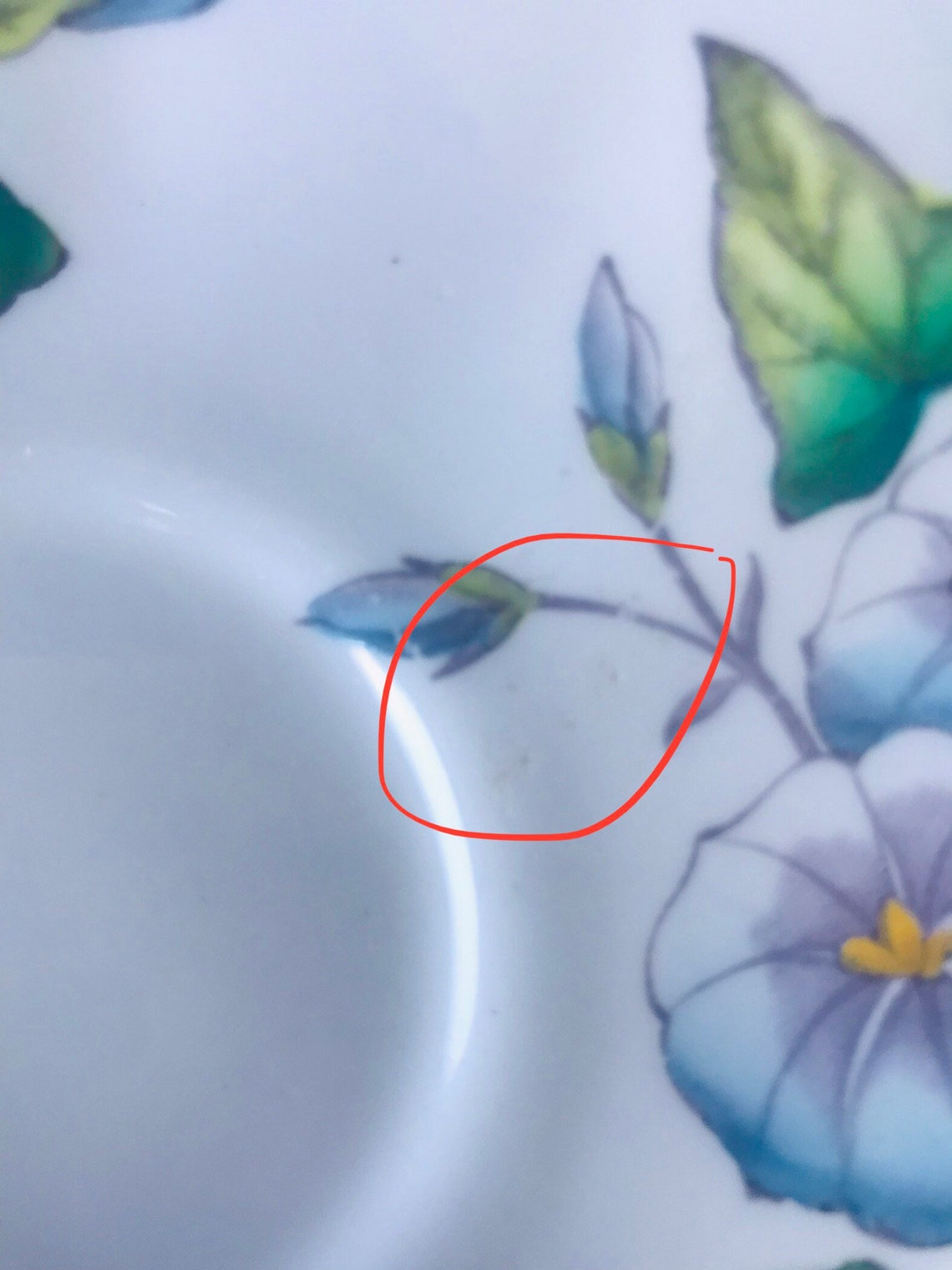 Vintage Hand Painted Royal Albert Flower of the Month Series - Etsy