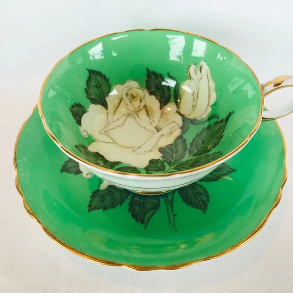 White Cabbage Rose - Etsy