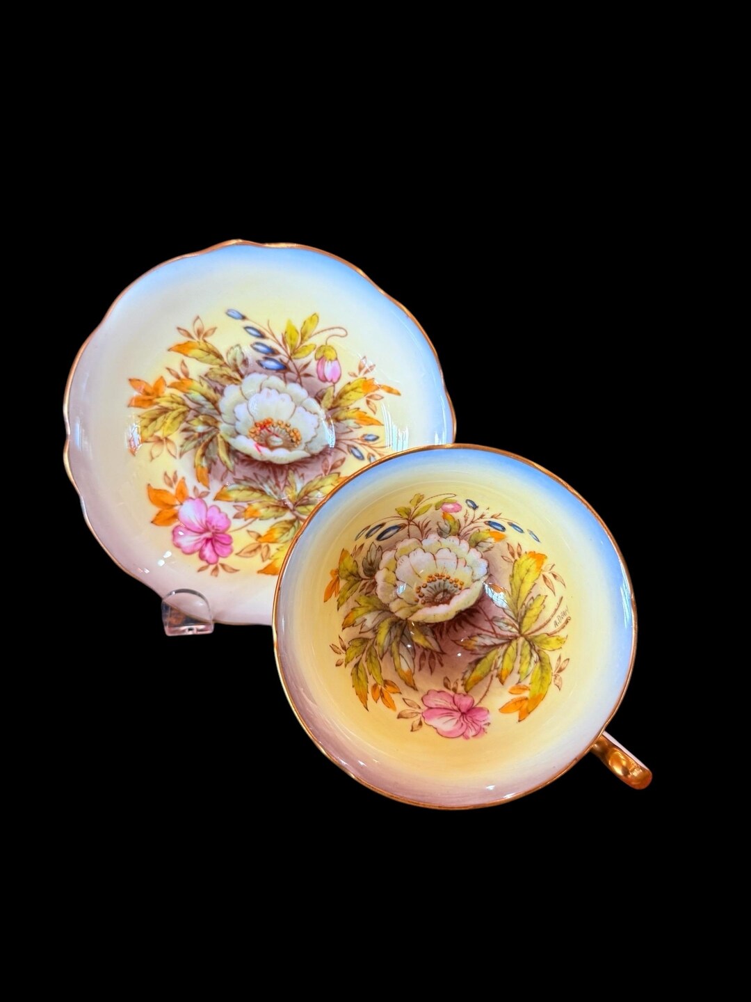 Foley Hand Painted Poppy Tea Cup and Saucer Signed by Artists Bone ...