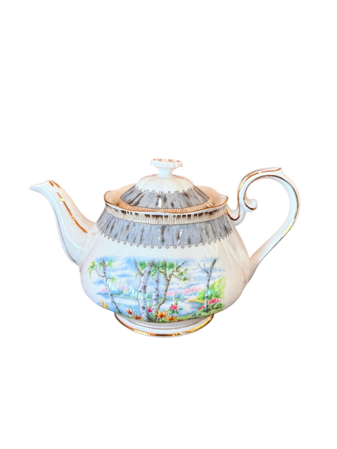 Royal Albert Silver Birch Small Tea Pot With Lid (2-4 Cups) Bone China ...