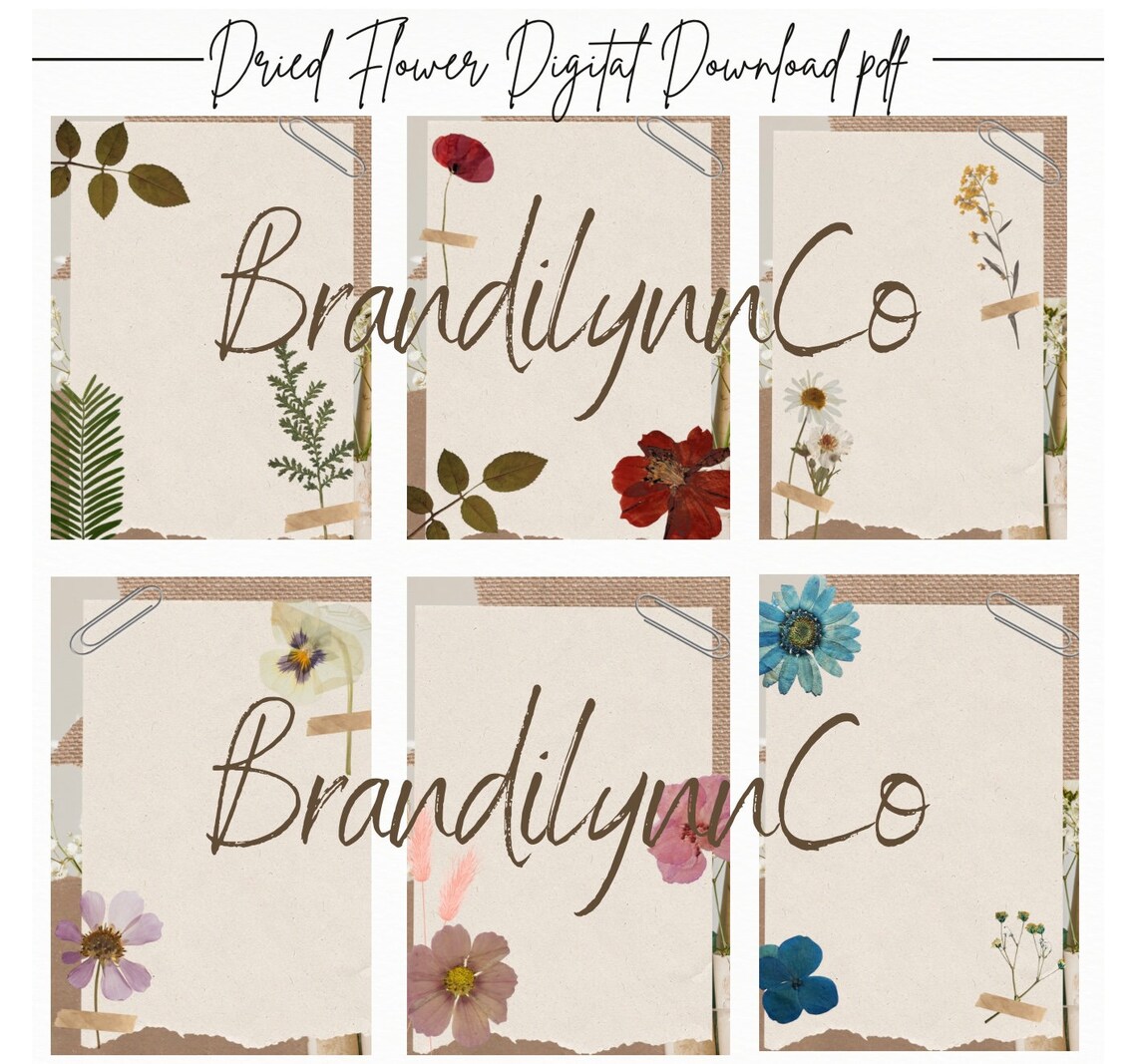 Dried Flower Blank Digital Download PDF Templates for Weddings ...