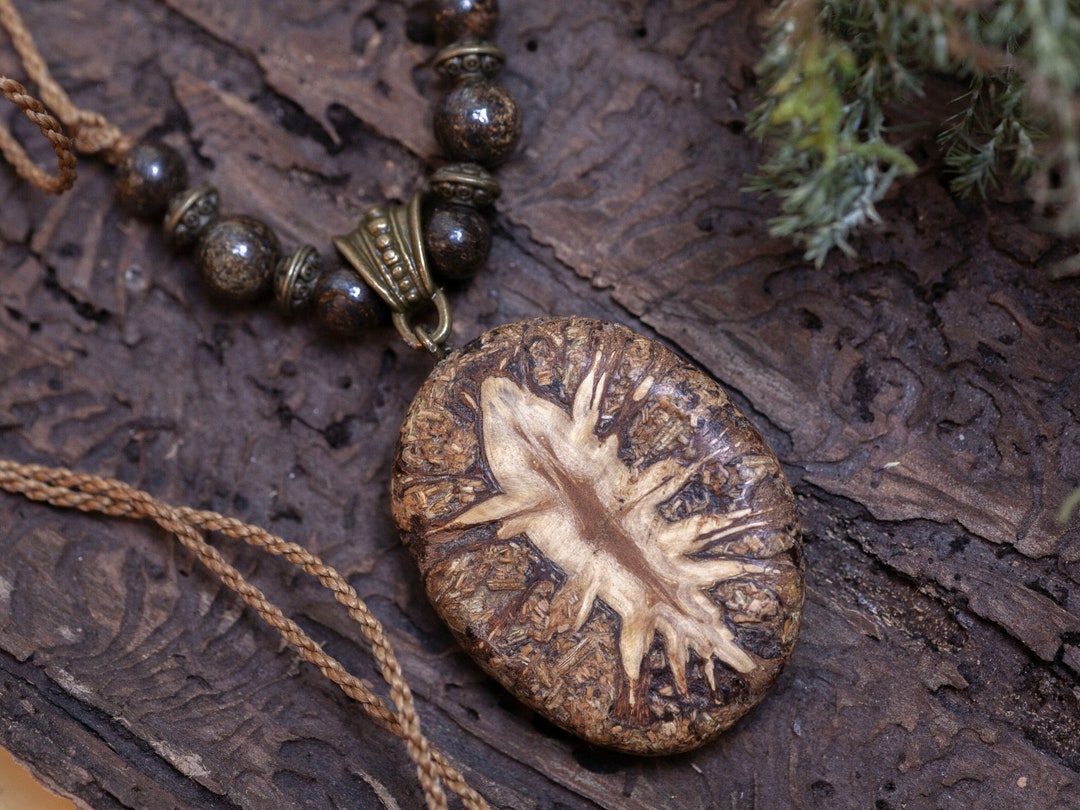 Cone Amulet Giant Sequoia Tree Sequoia Amuletum Bronzite Adjustable Necklace Handmade Unique ...
