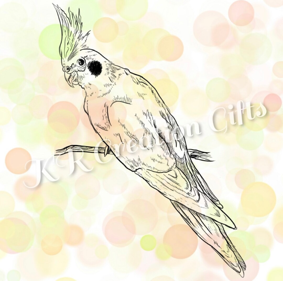Chirpy Cockatiel Bird Drawing Sketch Digital Art Digital Print - Etsy