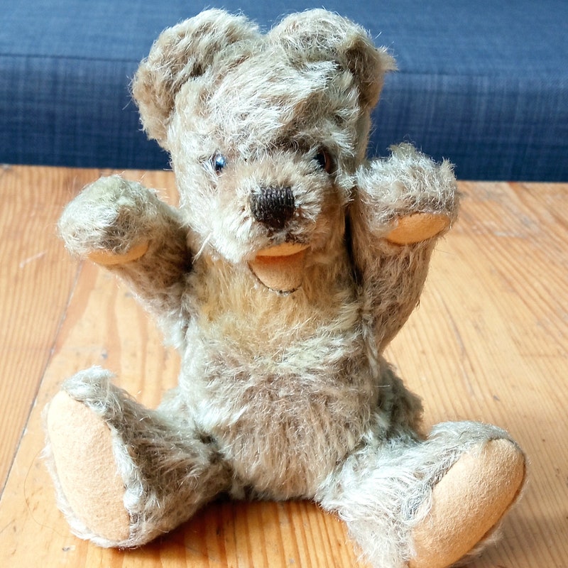 Zotty Bear - Etsy