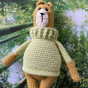 The Booch Bear - Etsy
