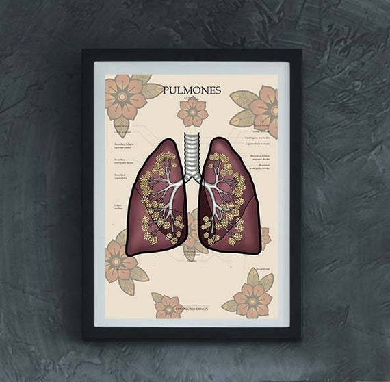 ANATOMY Poster Digital Medicine Skeleton Human Body Art | Etsy