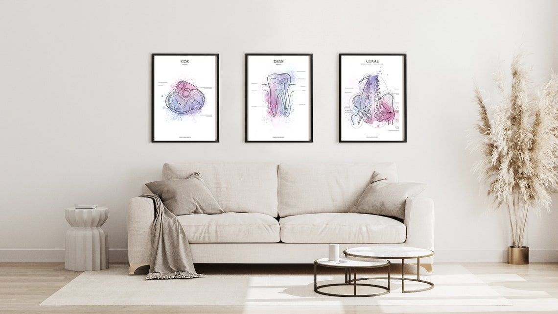 ANATOMY Poster Digital Pelvis, Medicine, Skeleton, Human Body Art ...