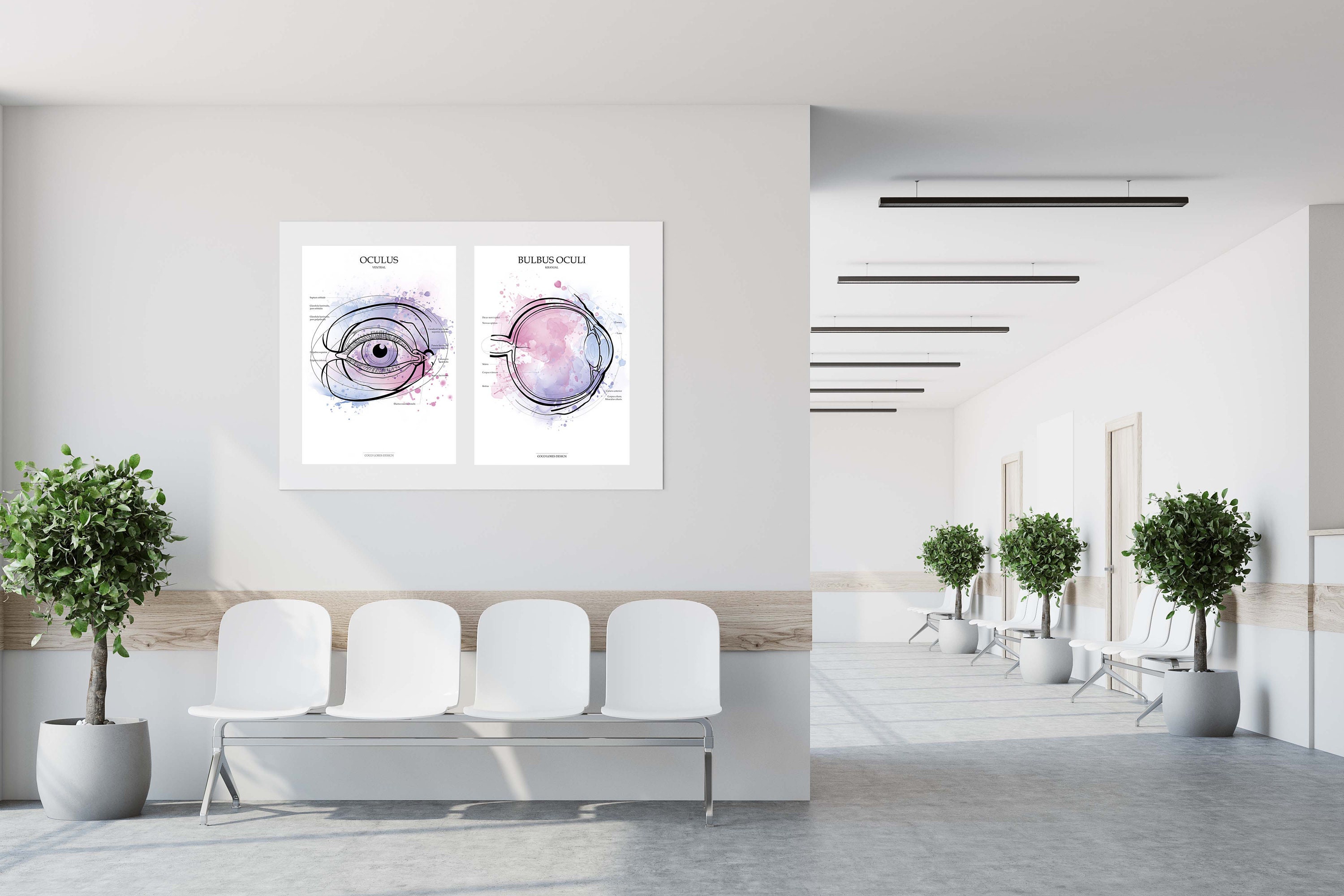 ANATOMY Poster Digital Pelvis, Medicine, Skeleton, Human Body Art ...