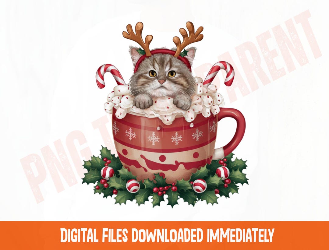 Funny Cat Cocoa Christmas PNG, Christmas Cat Cocoa Design, Holiday Cat ...