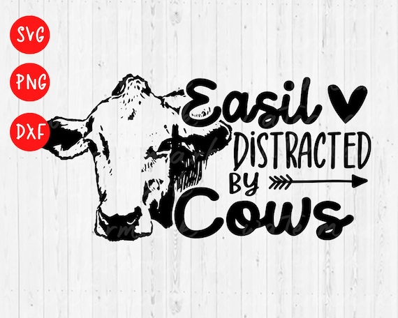 Easily Distracted by Cows Svg Cow Face Svg Cow Png - Etsy