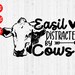 Easily Distracted by Cows Svg Cow Face Svg Cow Png - Etsy