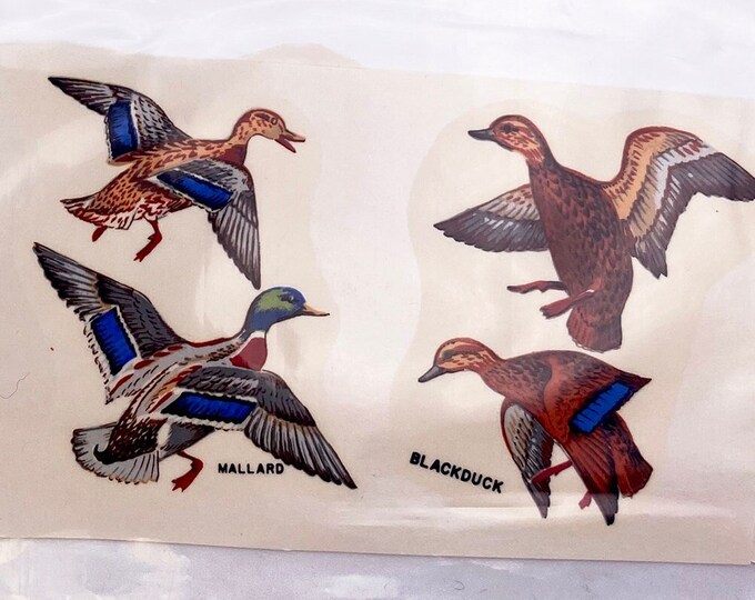 Illustrated "wild Ducks" Ceramic Decals : Vintage, Water Mount, Kiln ...