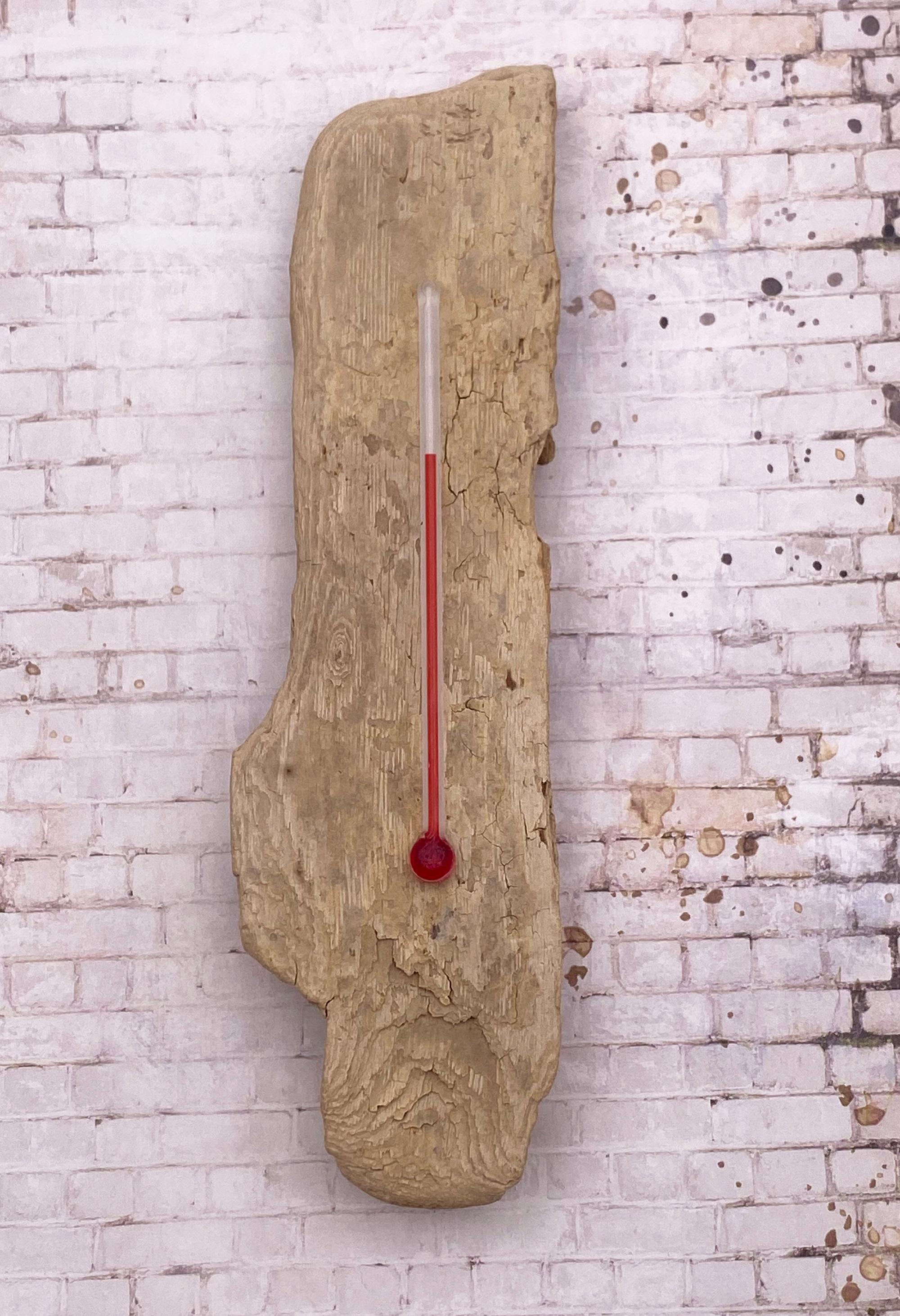 4" Glass Thermometer Tube on Gold Card: Perfect for Repairs & Crafts ...
