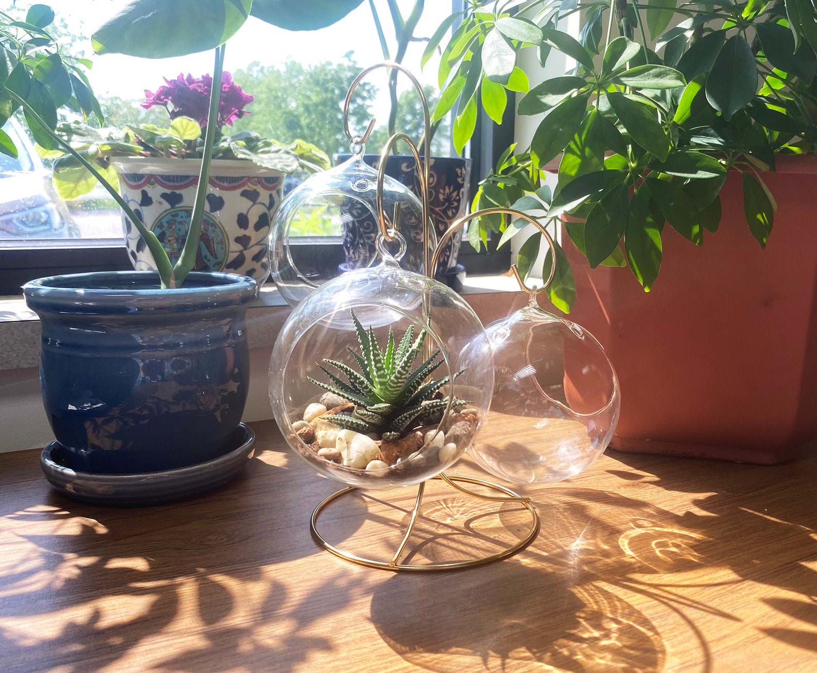 3-hook Metal Display Stand and 4-1/2" Round Glass Terrariums - Etsy