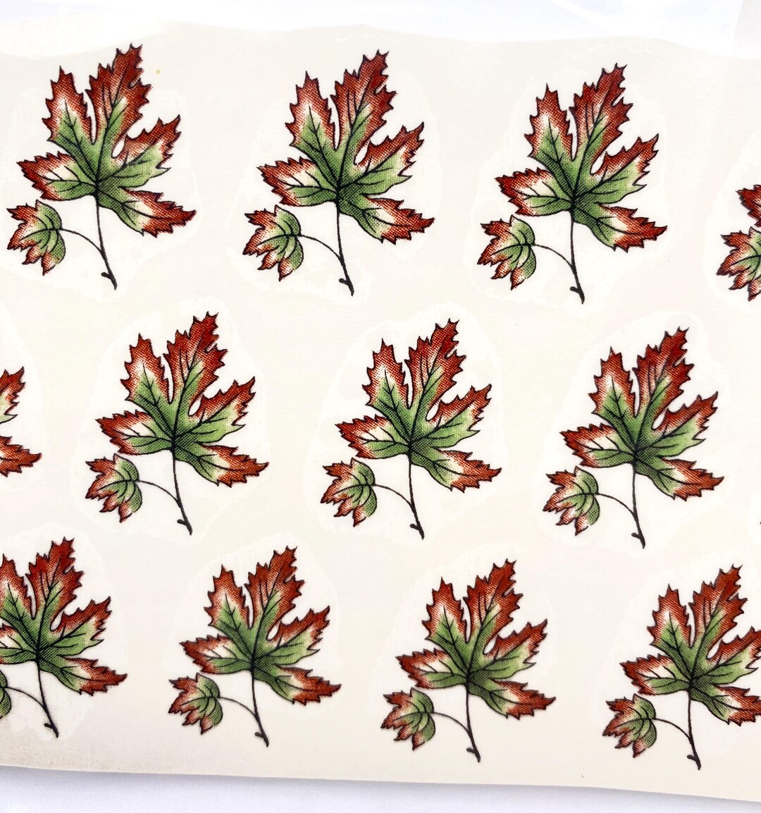 1" Maple Leaf Ceramic Decals: Vintage Water-mount, Kiln-fire (lot of 68 ...