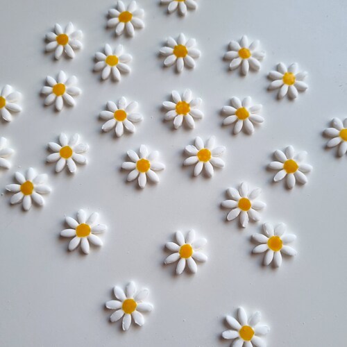 Daisy Cake Topper Daisy First Birthday Party Decor Flower | Etsy