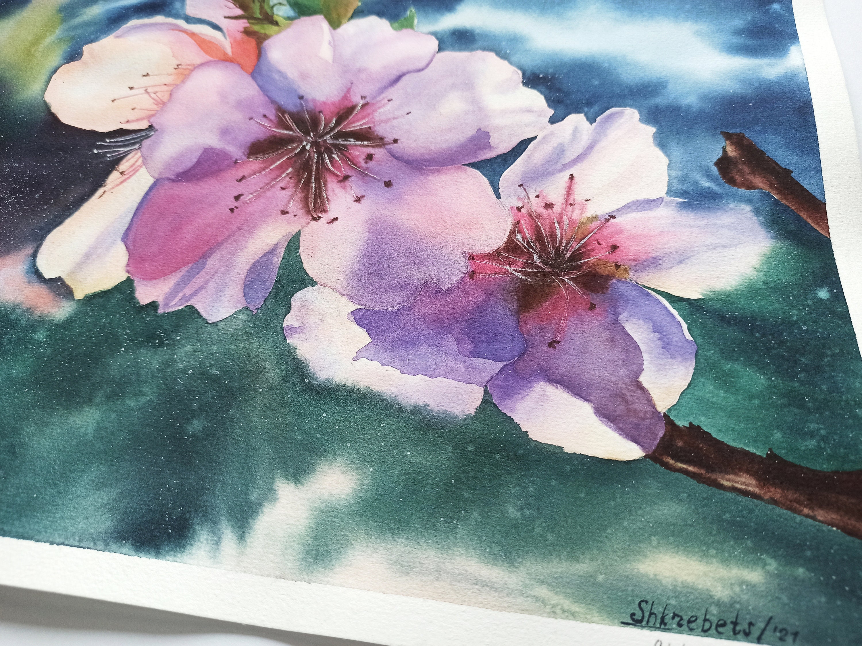 Watercolor Almond Blossom, Original Watercolor Painting, Almond ...