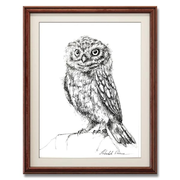 Owl Drawing - Etsy