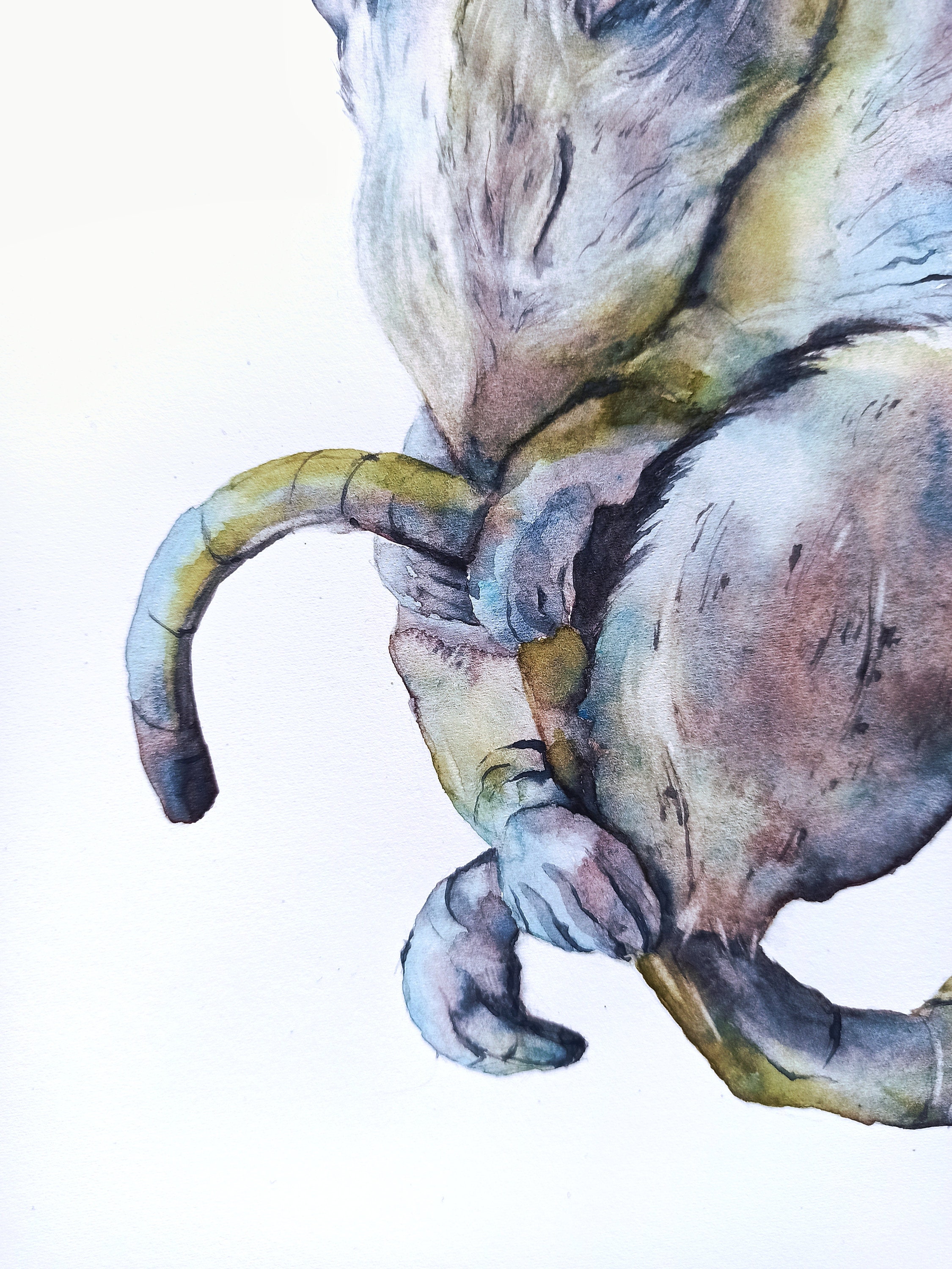 Original Watercolor Mouse Painting, Watercolor Animal Illustration, Pet ...