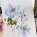 Light Blue Anemones, Original Watercolor Floral Painting, Realistic ...