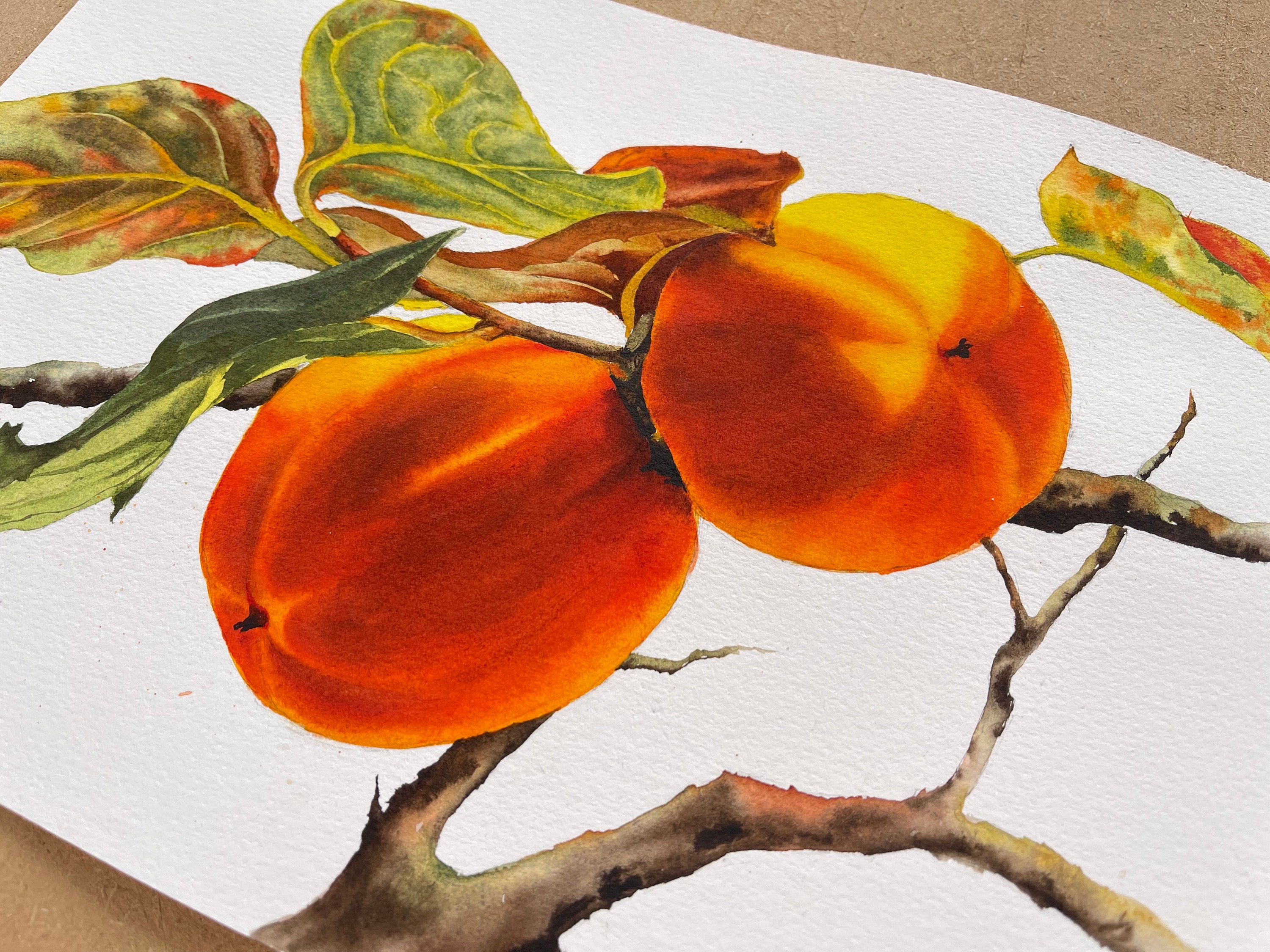 Rustic Persimmon Branch Watercolor Painting, Custom Original Realistic ...
