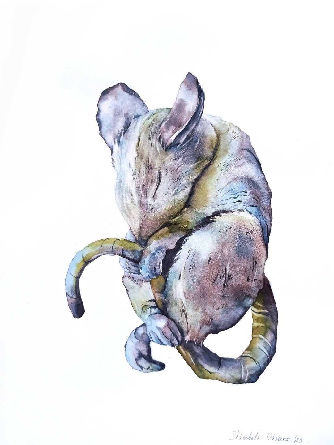 Original Watercolor Mouse Painting, Watercolor Animal Illustration, Pet ...