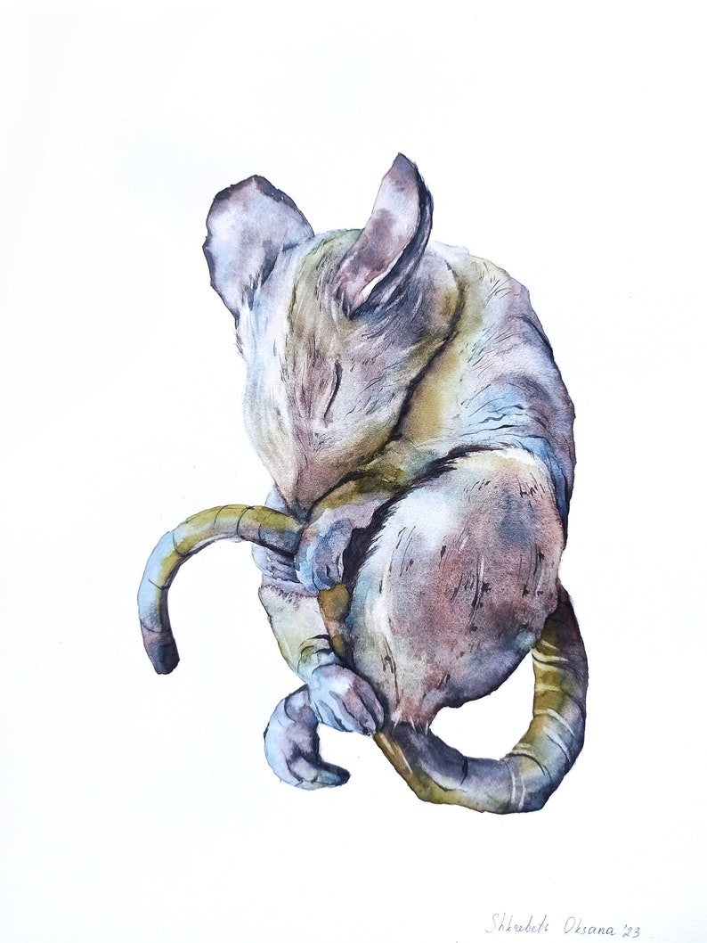 Original Watercolor Mouse Painting, Watercolor Animal Illustration, Pet ...