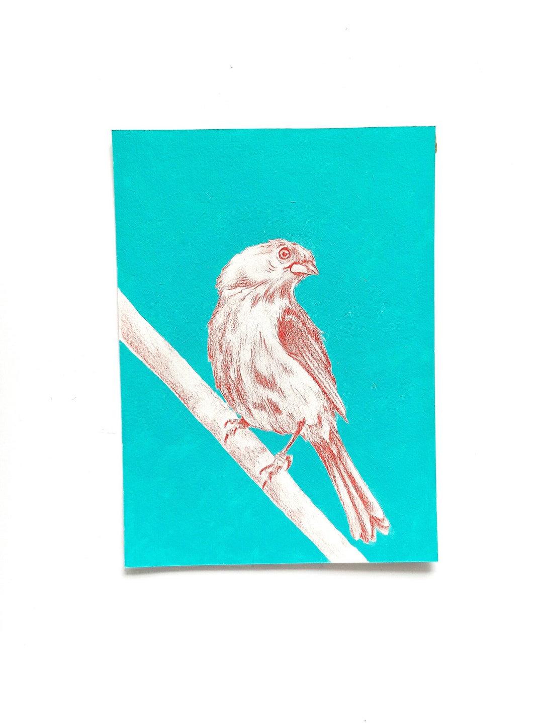 Brazilian Tanager, Original Colored Pencil and Acrylic Bird Painting ...
