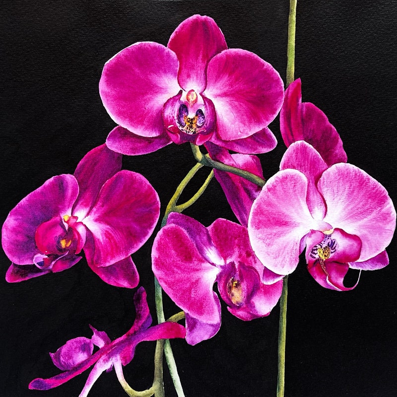 Orchid Painting - Etsy