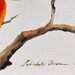 Rustic Persimmon Branch Watercolor Painting, Custom Original Realistic ...
