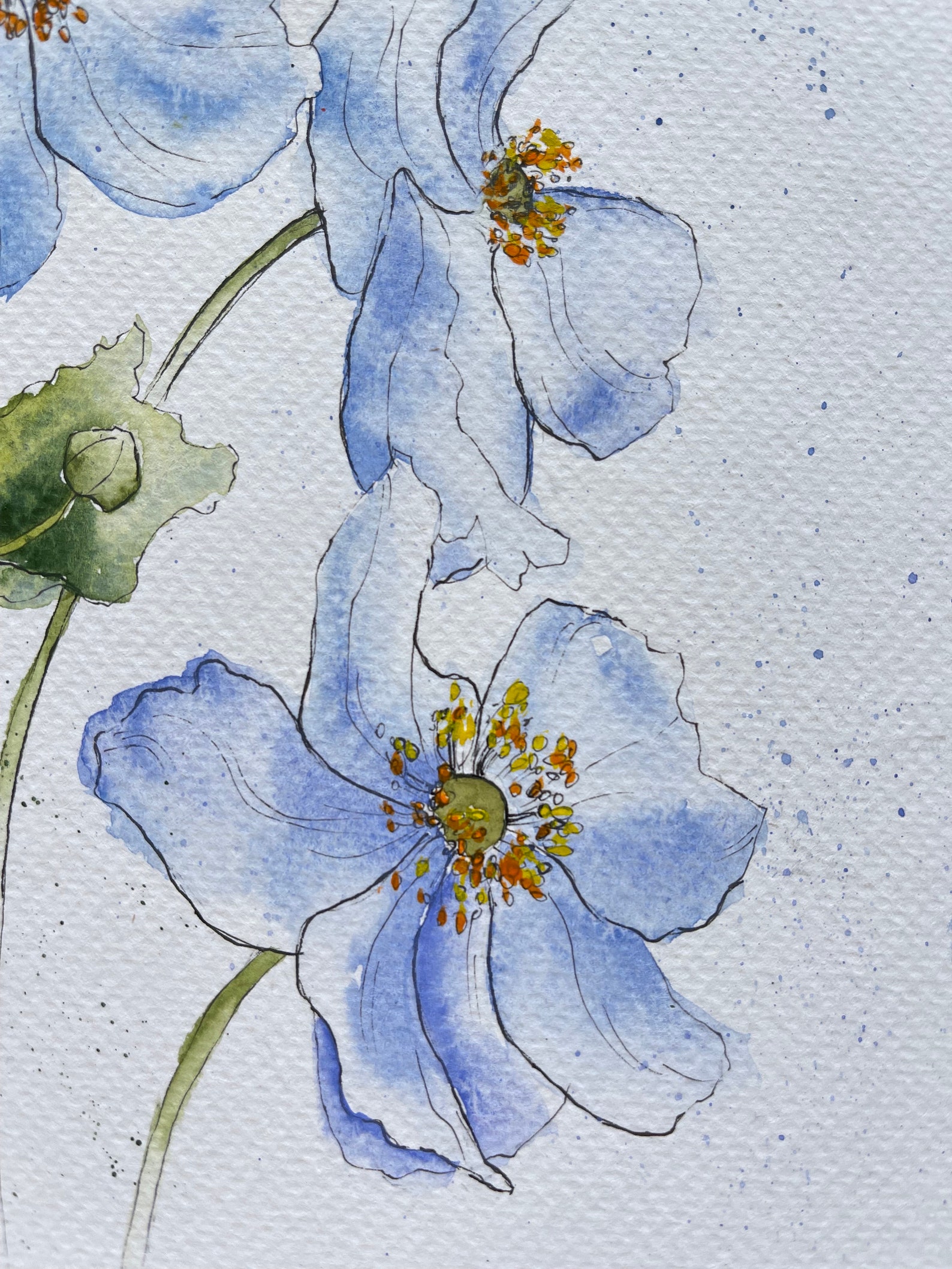 Light Blue Anemones, Original Watercolor Floral Painting, Realistic ...