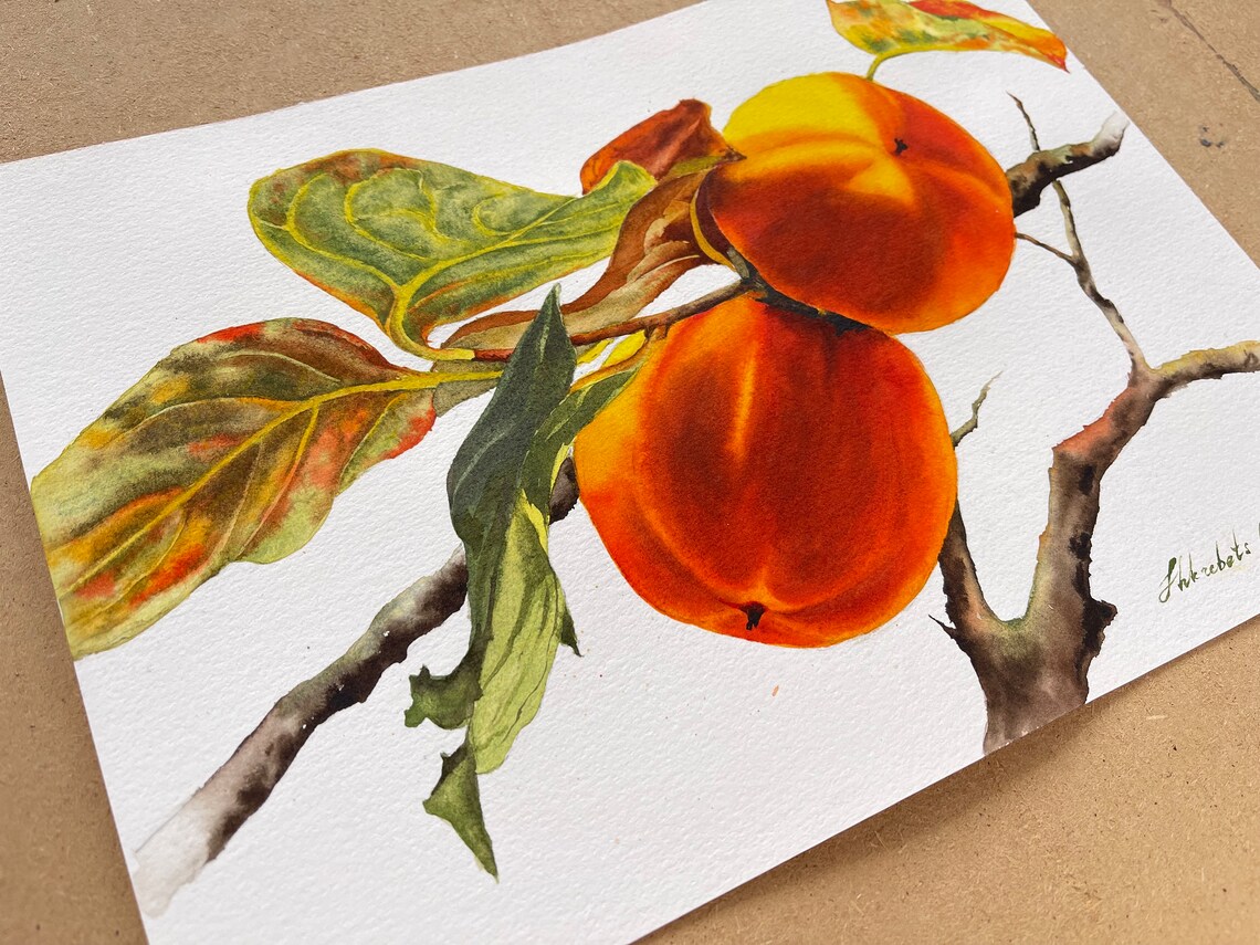 Rustic Persimmon Branch Watercolor Painting, Custom Original Realistic ...