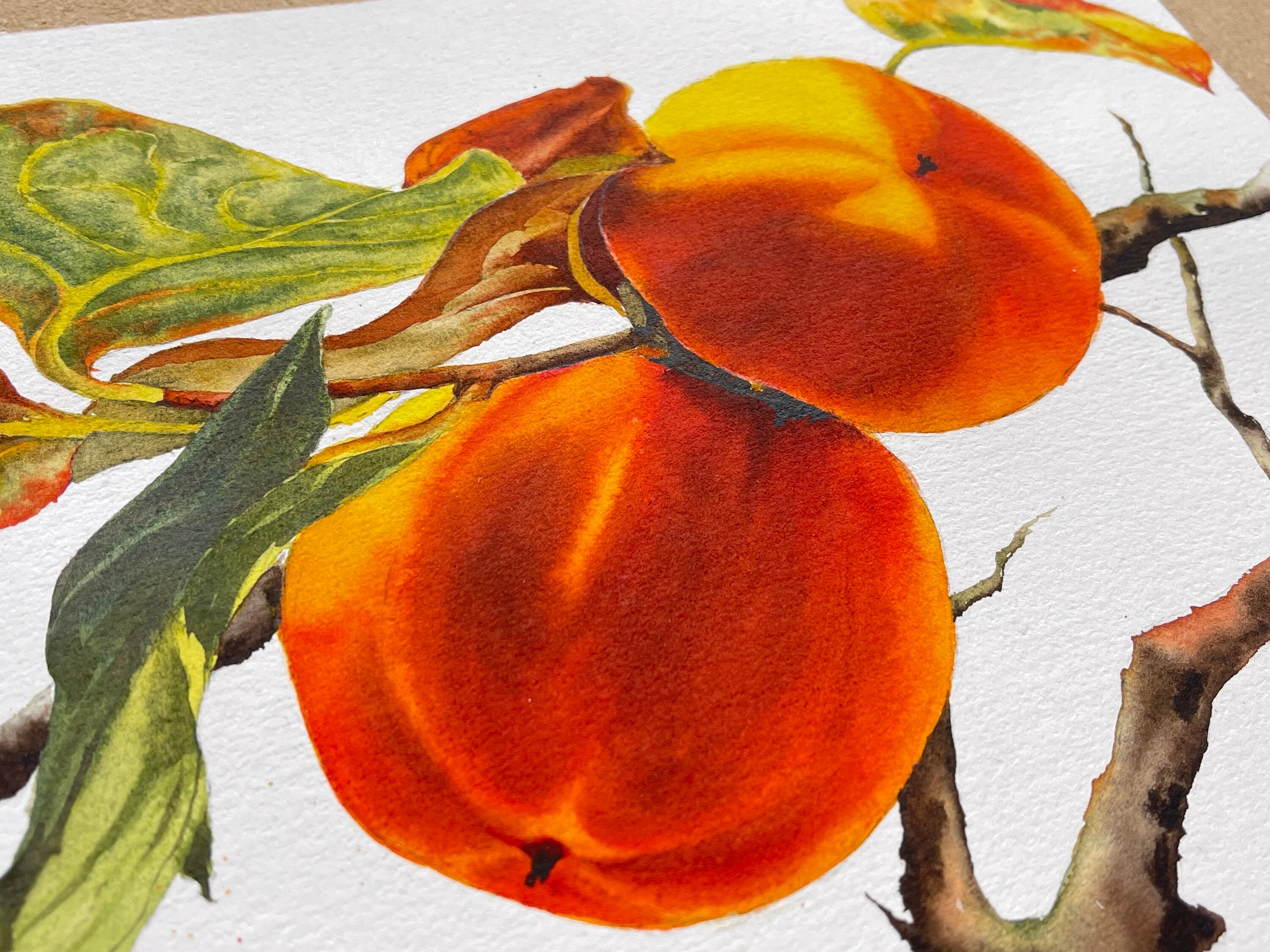 Rustic Persimmon Branch Watercolor Painting, Custom Original Realistic ...